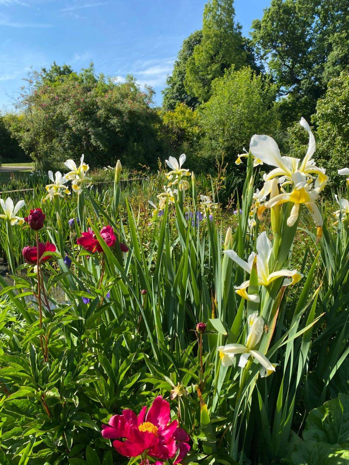 Open Garden scheme celebrates 20th year - Handy Magazines - Affordable ...